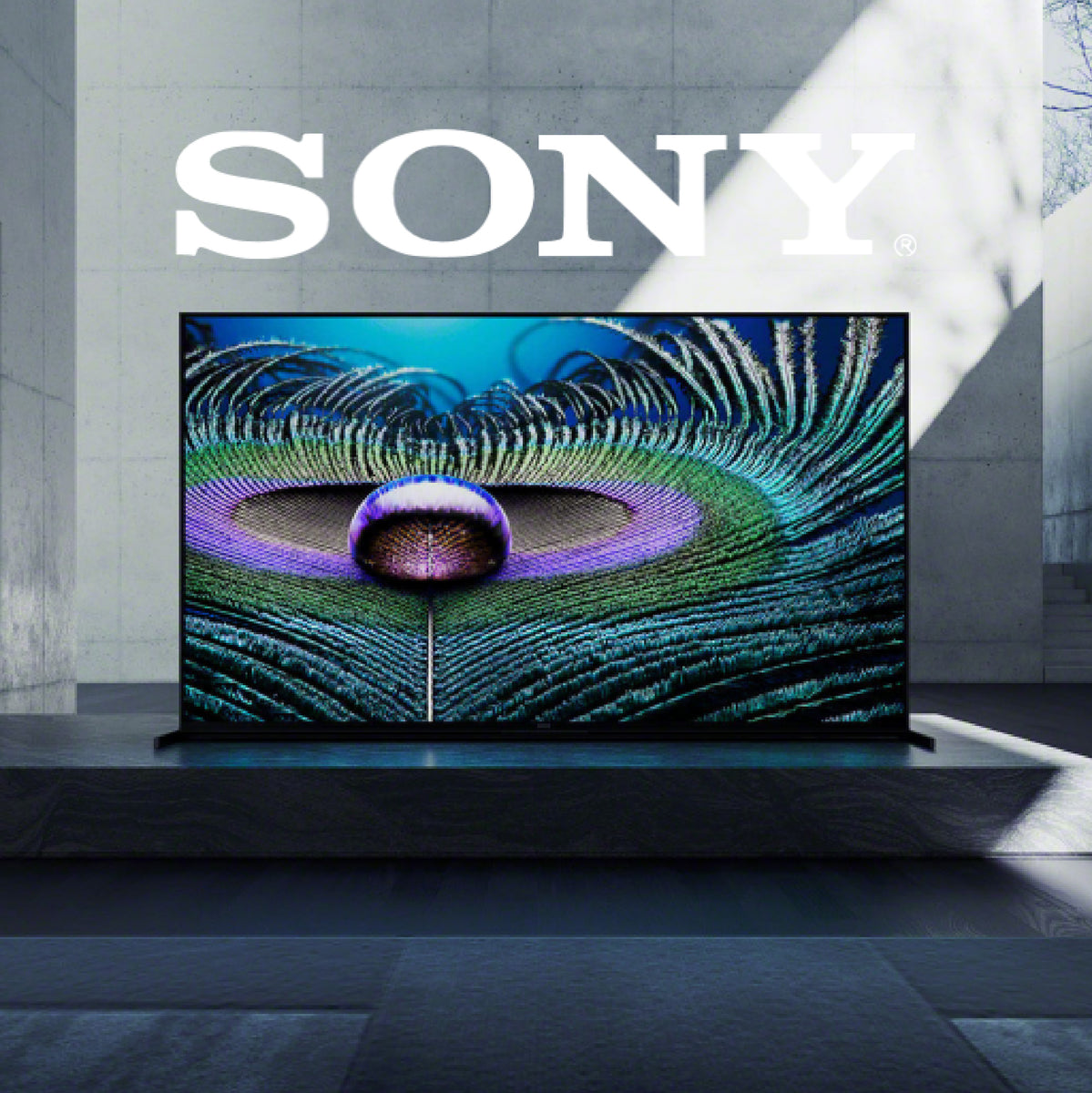 Sony Home Theater Systems, Projectors & TVs – Greg Sound SVC